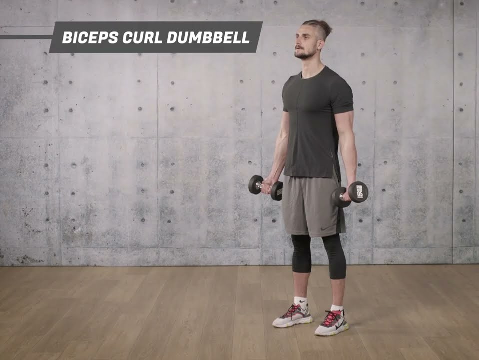 Dumbbell Curl Nasıl Yapılır & Nereyi Çalıştırır - MACFit